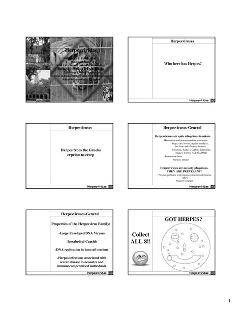 Herpes Viruses Introduction To Virology Biol 4190 Docsity