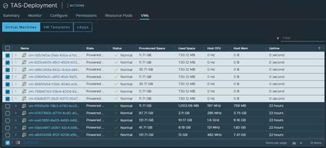 installing tas integration for tanzu observability on vsphere little
