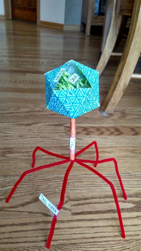 Virus Model Project