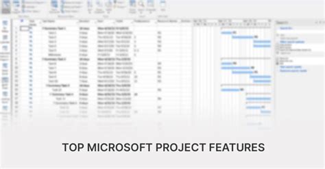 seavus project viewer on linkedin the top microsoft project on