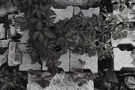 Your Work Is More Than A Job Unmeasured