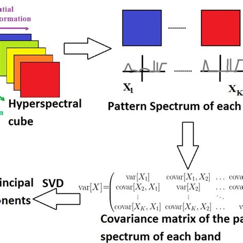 Process Of Pattern Spectrum Morphpca Download Scientific Diagram