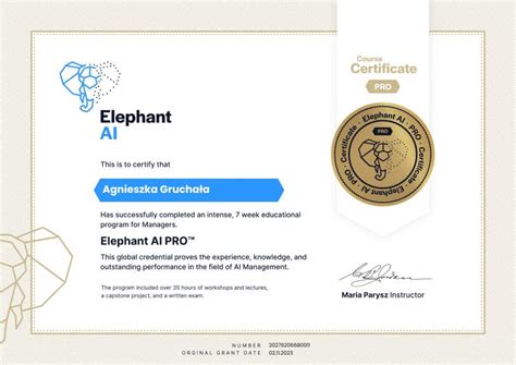 agnieszka gruchała na linkedin ai sertifier digitalbadge