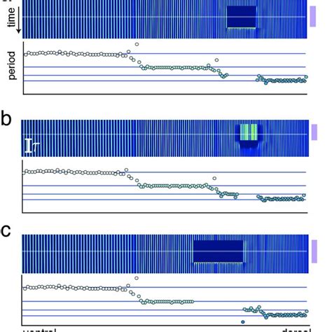 Randomly Constructed Fixed Scale Interactions Left Column And Their Download Scientific