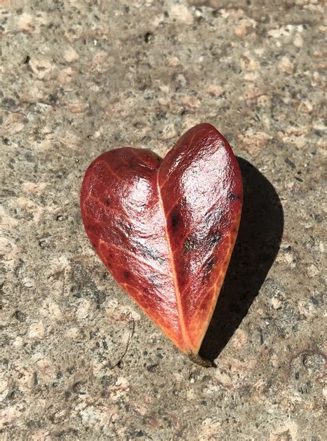 Heart Shaped Object