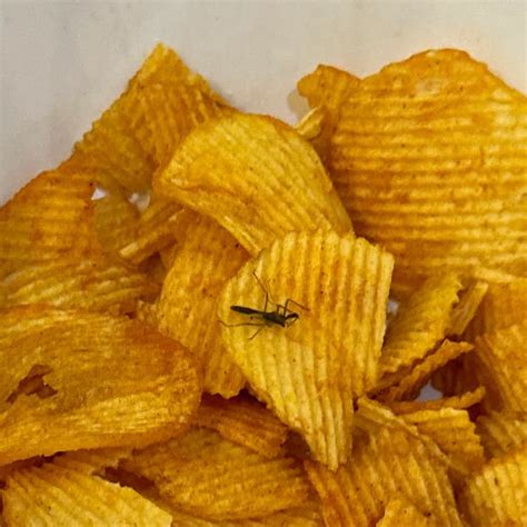 Ruffles Cips İçinden Çıkan Patates Filizleri Şoku Şikayetvar