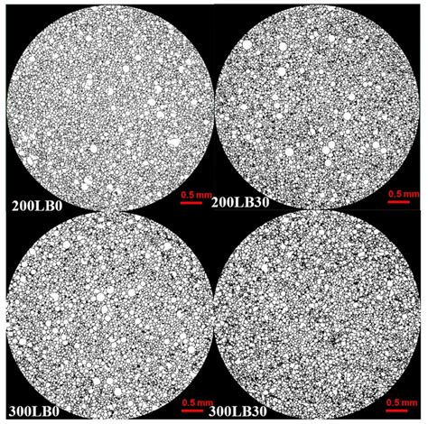Midsection Microct Scans After Reconstruction And After Watershed