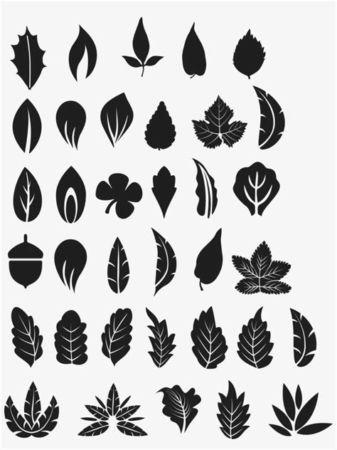 Tree Leaves Vector At Collection Of Tree Leaves