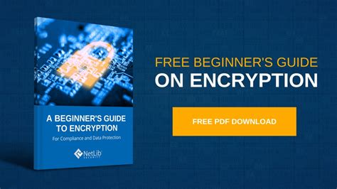 Netlib Security Inc On Linkedin Beginners Guide To Encryption For