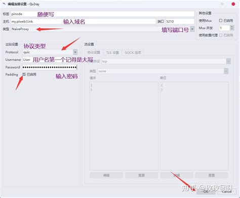 pi节点0 45云服务器搭建naiveproxy教程 知乎