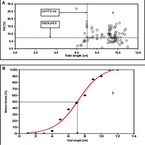 An Example Figure Of Size At Sexual Maturity Which Produced By TL Vs Download Scientific