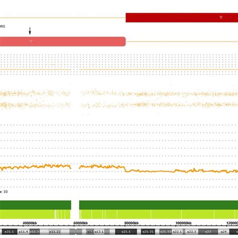 Chromosome Microarray Analysis Shows Loss Of Mosaic Arr[grch37] Download Scientific Diagram