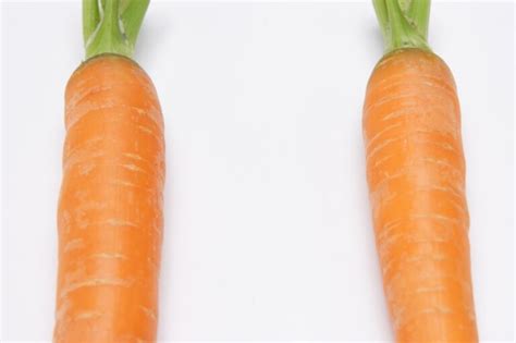 おいしいにんじんの選び方と保存方法 料理スタイル