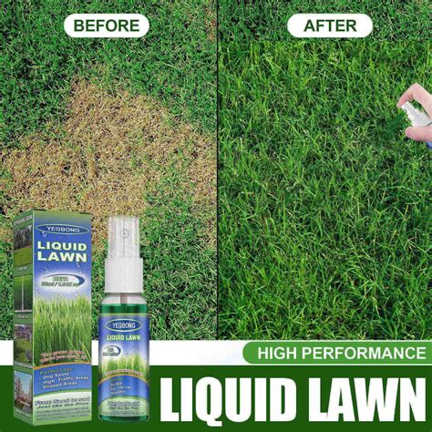 Green Grass Lawn Spray Nearby At Julian Mcneil Blog