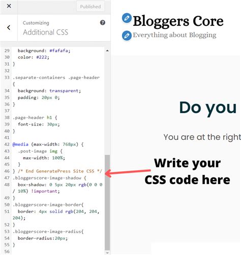 How To Add Custom Css Code In Wordpress Bloggers Core