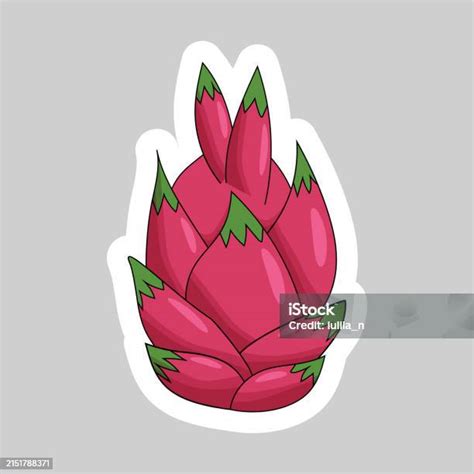 빨간 전체 용 과일 또는 피타 야 만화 스타일 여름 열 대 과일 벡터 스티커 0명에 대한 스톡 벡터 아트 및 기타 이미지 0명 건강한 식생활 과일 Istock