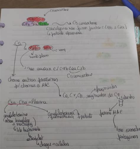Sistema Complemento Via Classica Imunologia