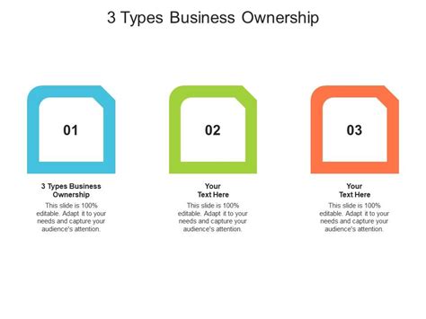 3 Types Business Ownership Ppt Powerpoint Presentation Styles Example