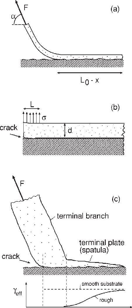 Figure 2 From The Effect Of Surface Roughness On The Adhesion Of Elastic Plates With Application