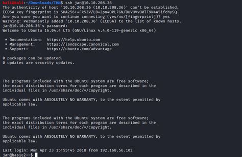 Tryhackme Basic Pentesting Walkthrough Steflans Security Blog