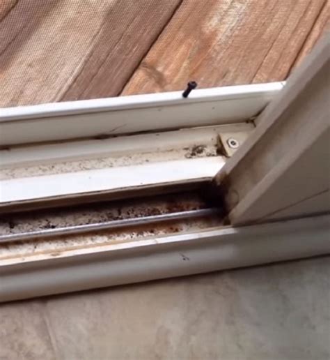 ფანჯრის ჩარჩოებზე ჭუჭყის კვალიც კი არ დარჩება მარტივი 5 წუთიანი პროცედურა იდეალური სისუფთავისთვის