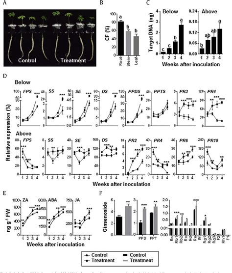 Figure 1 From Endophytic Trichoderma Citrinoviride Isolated From Mountain Cultivated Ginseng