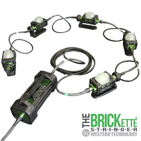 Explosion Proof String Lights Shelly Lighting