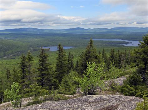 Weyerhaeuser To Buy Plum Creek Creating A 23bn Timberland Giant