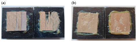 Polymers Free Full Text Selected Properties Of Bio Based Layered
