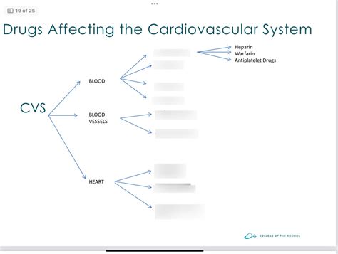 CVS Drugs Diagram Quizlet