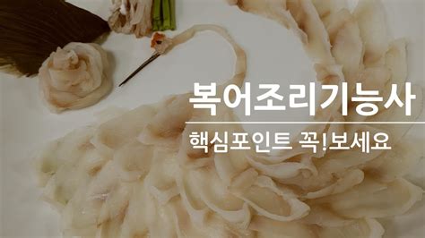 2023하쌤의복어조리기능사 까치복 핵심포인트 Youtube
