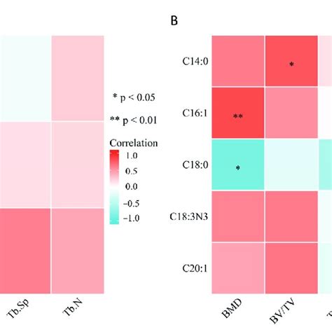Correlation Between Differential Fatty Acids And Bone Microarchitecture Download Scientific
