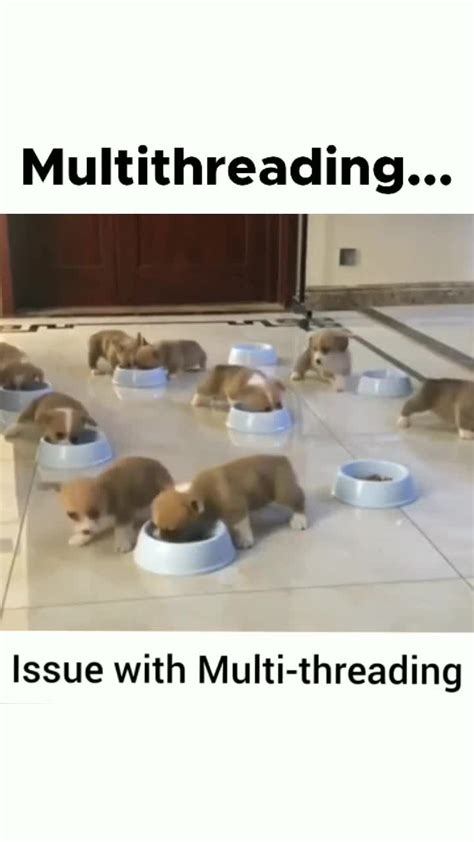 Multithreading🐶🐾😂 By Programmer Jokes