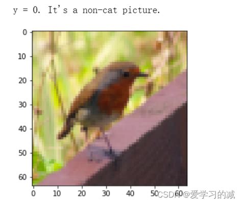 吴恩达深度学习deep Neural Network For Image Classification Application 第四周编程