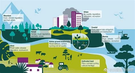 我们的经济、生活、健康都与生物圈密不可分，它为我们提供生活必需品、调节和维护生态系统、并创造了包括人文旅游在内的生态文明。然而根据《达斯古普塔生物多样性经济中期评估报告》 Dasgupta