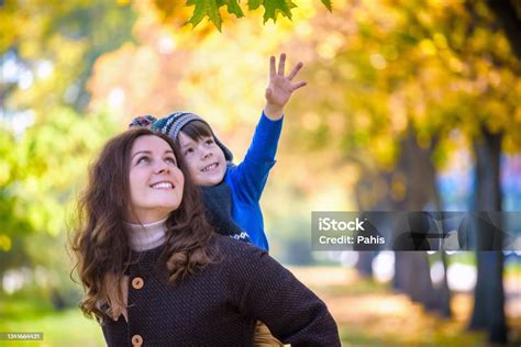 귀엽고 행복한 소년은 노란 잎 사이에서 엄마와 함께 웃고 껴안습니다 가을 공원에서 어머니와 함께 즐거운 시간을 보내는 어린 아이 아들과 부모 행복한 가족 사이의 우정의 개념