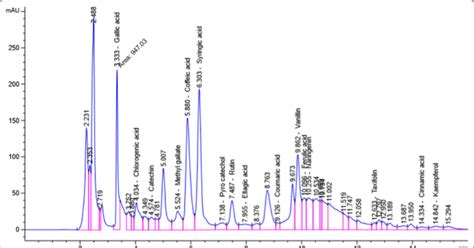 Hplc Chromatogram Of Phenolic Compounds In 80 Ethanol Extract Of