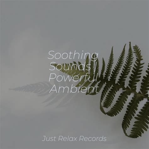 Soothing Sounds | Powerful Ambient - Album by Pro Sound Effects Library | Spotify