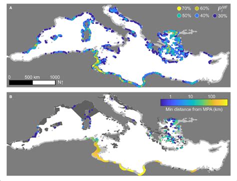 Multi Functional Hotspots And Protection Gaps For P Oceanica A