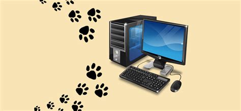 What Are Cookies Manage Block Delete Safely