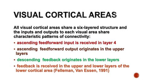 Visual Object Recognition Ppt