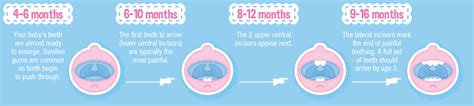 Teething Relief Camilia