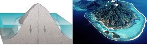 Coral Reef Fringing Reef Barrier Reef And Atoll Pmf Ias