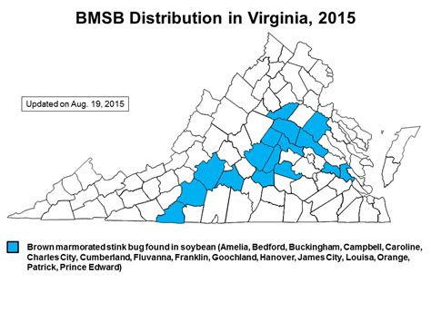 Brown Marmorated Stink Bug Distribution Map Update For August 19 2015 Brown Marmorated Stink Bug Distribution Map Update For August 19 2015