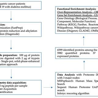 Schematic Representation Of The Proteomics Workflow For The Analysis Of Download Scientific