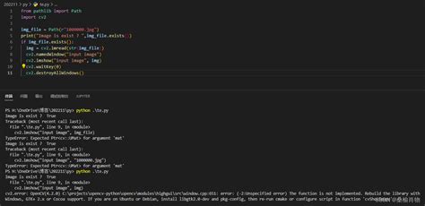 opencv 无法读取图片进行显示，error 2 unspecified error the function is not