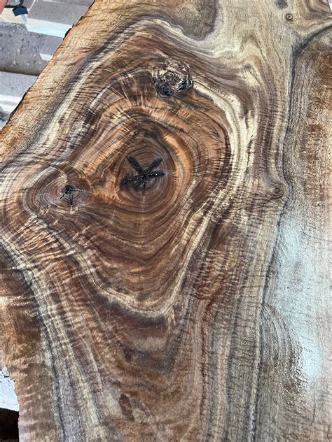 Walnut Wood Slab 38 X 18 X 1 18 Frison Logue Hardwoods