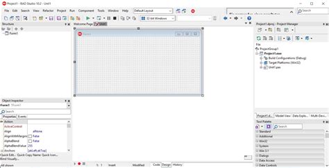 A Delphi Primer With RAD Studio Borked Code