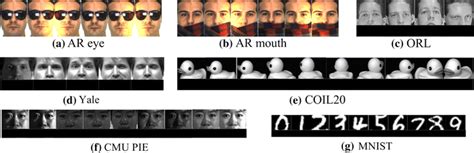 examples of testing sets for 6 databases download scientific diagram