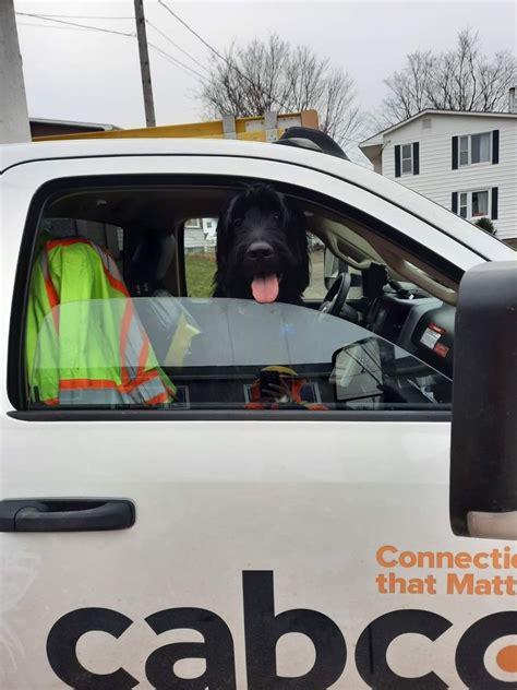 Cabco Communications Group On Linkedin Connectionsthatmatter